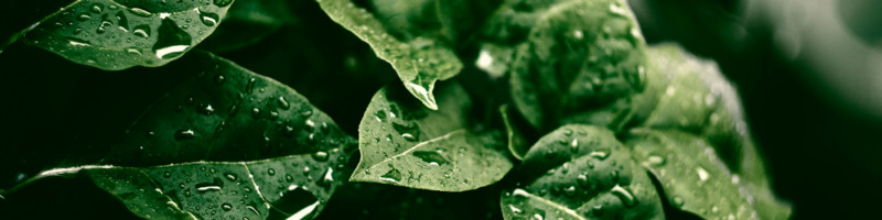 Lisa Hooton - Financial Controller - Bolton Gems Pty. Ltd. | LinkedIn Lisa Hooton - Financial Controller - Bolton Gems Pty. Ltd. | LinkedIn