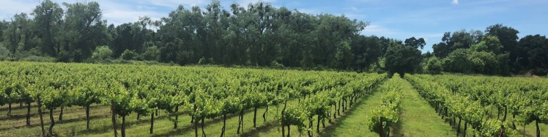 American Society of Agricultural Consultants (ASAC) - Menomonee Falls ... American Society of Agricultural Consultants (ASAC) - Menomonee Falls ...