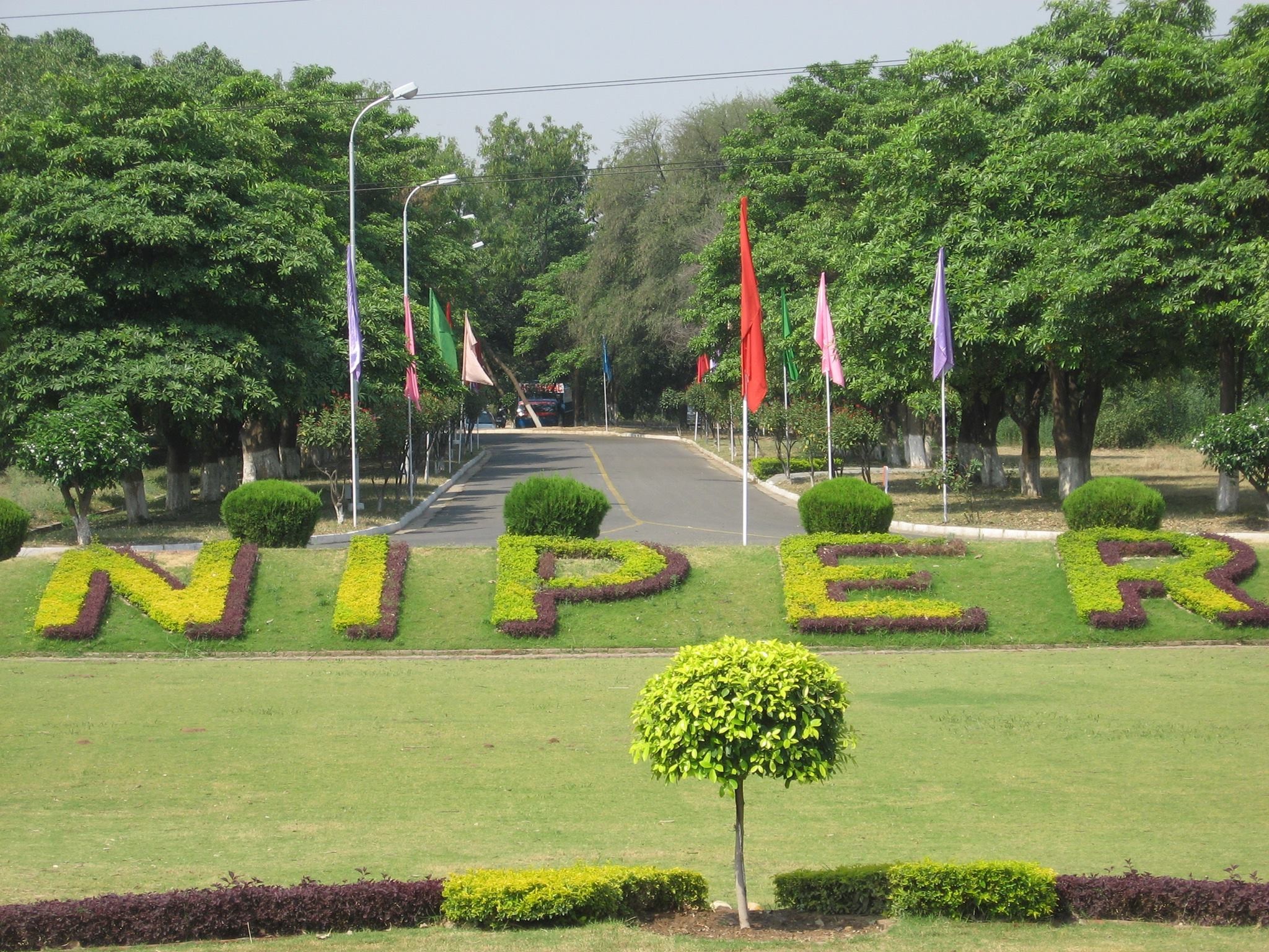 #leadership #newjourney #biotechnology #nipermohali #success # ... #leadership #newjourney #biotechnology #nipermohali #success # ...