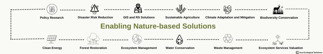 Iora Ecological Solutions | LinkedIn Iora Ecological Solutions | LinkedIn