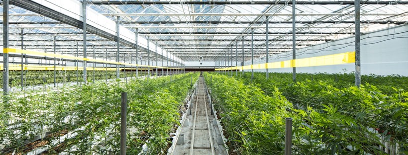 Innovative Industrial Properties | LinkedIn Innovative Industrial Properties | LinkedIn