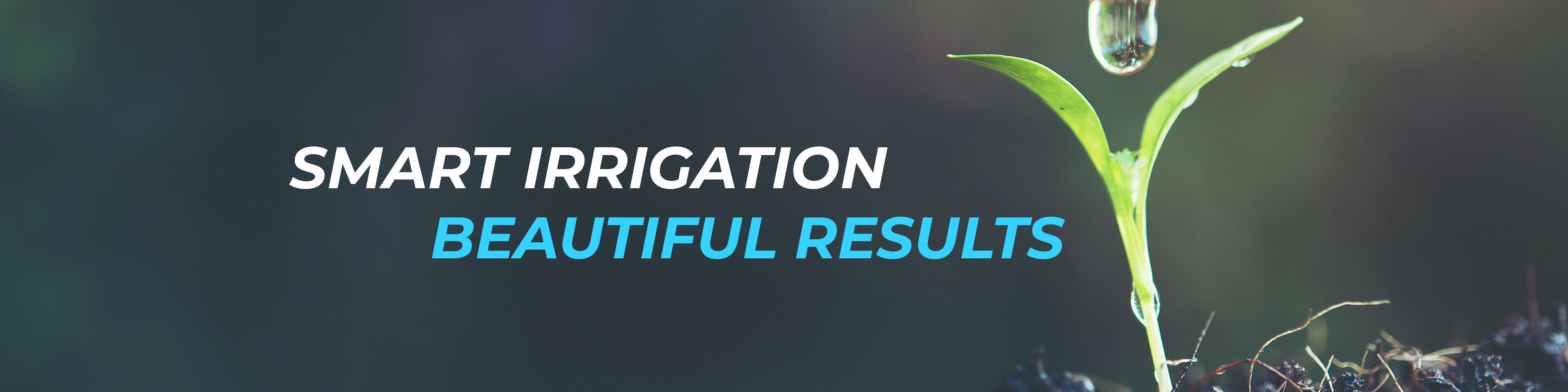 #bergrivierbesproeiing #tablegrapes #smartirrigation #beautifulresults ... #bergrivierbesproeiing #tablegrapes #smartirrigation #beautifulresults ...