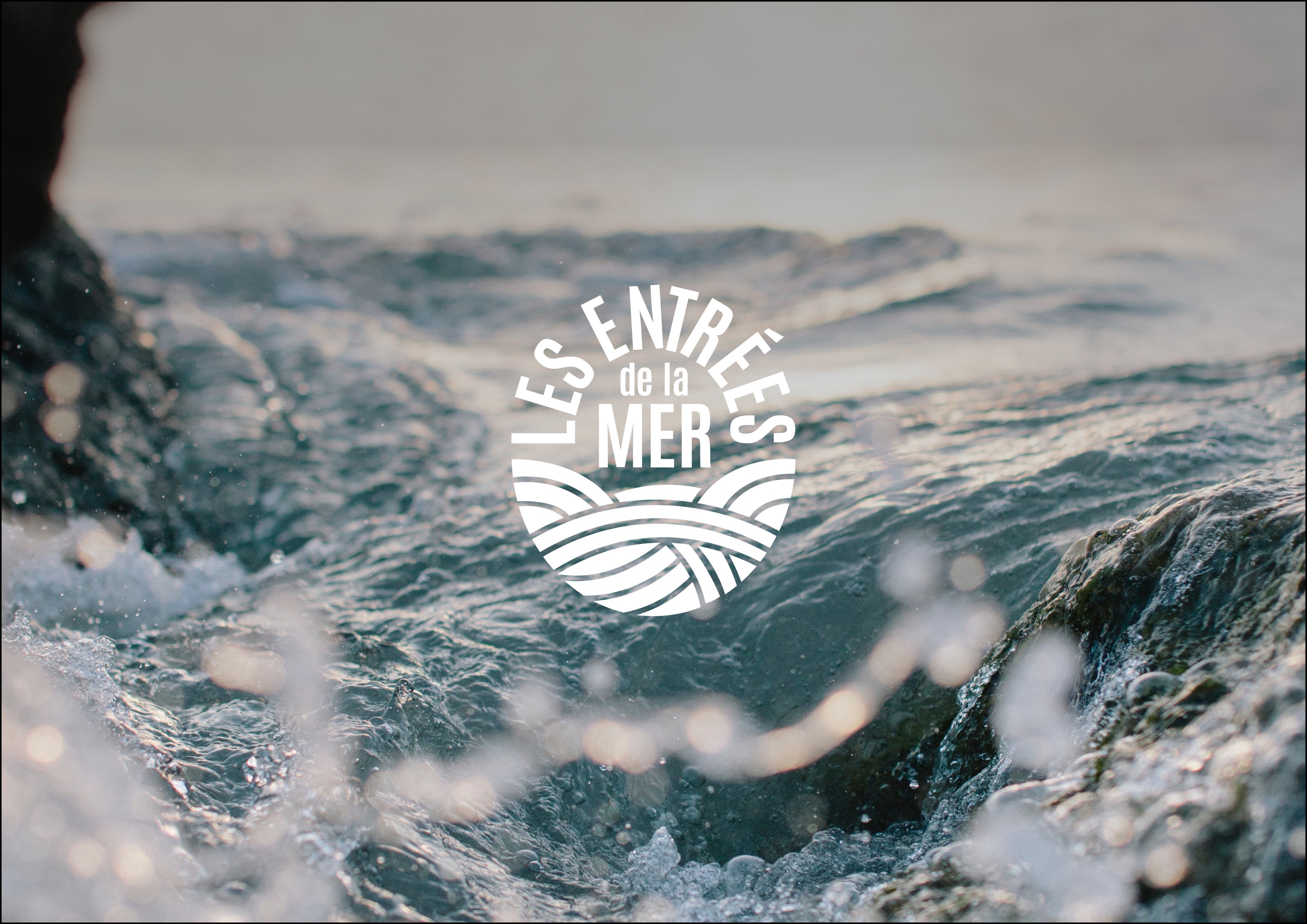 LES ENTREES DE LA MER | LinkedIn LES ENTREES DE LA MER | LinkedIn