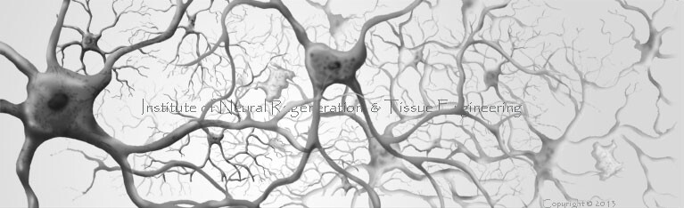 Institute of Neural Regeneration & Tissue Engineering | LinkedIn Institute of Neural Regeneration & Tissue Engineering | LinkedIn