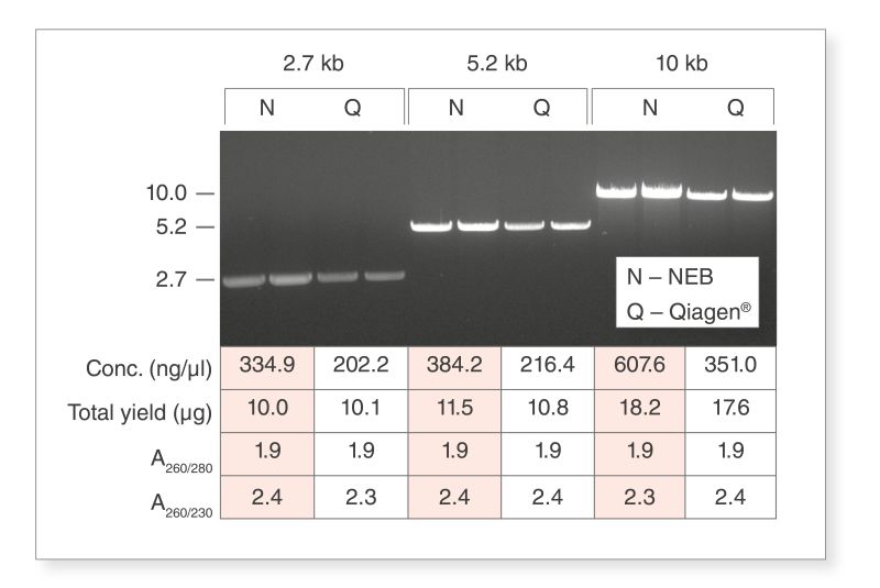 New England Biolabs UK on LinkedIn: #T1010 New England Biolabs UK on LinkedIn: #T1010