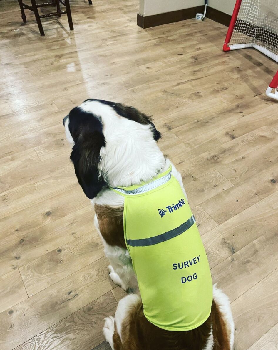 Trimble Geospatial on LinkedIn: #surveyors #surveydog #trimble | 41 ... Trimble Geospatial on LinkedIn: #surveyors #surveydog #trimble | 41 ...