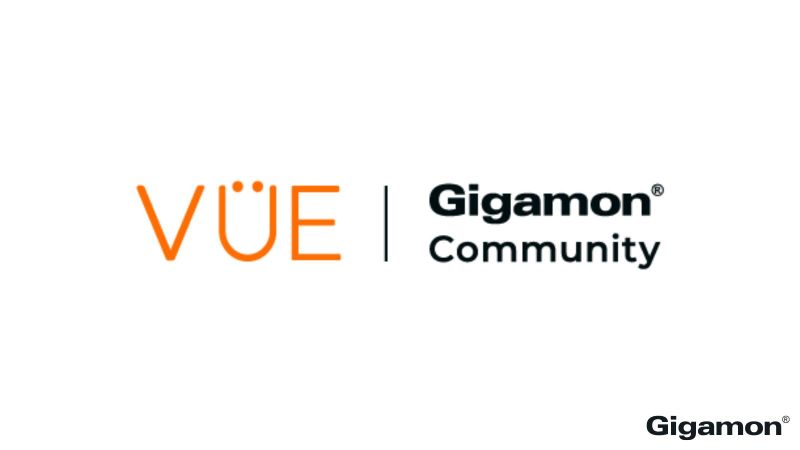 #gigamon | Mary Anne Hanson #gigamon | Mary Anne Hanson
