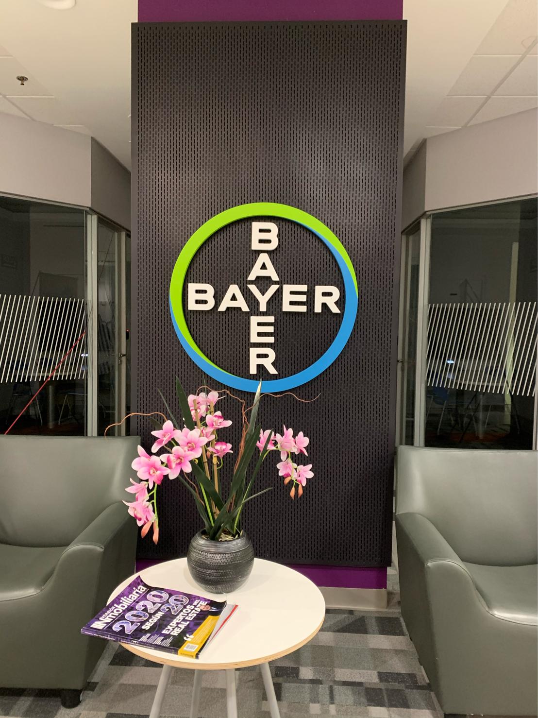 Anubrata Mallick on LinkedIn: #teambayer | 16 comments Anubrata Mallick on LinkedIn: #teambayer | 16 comments