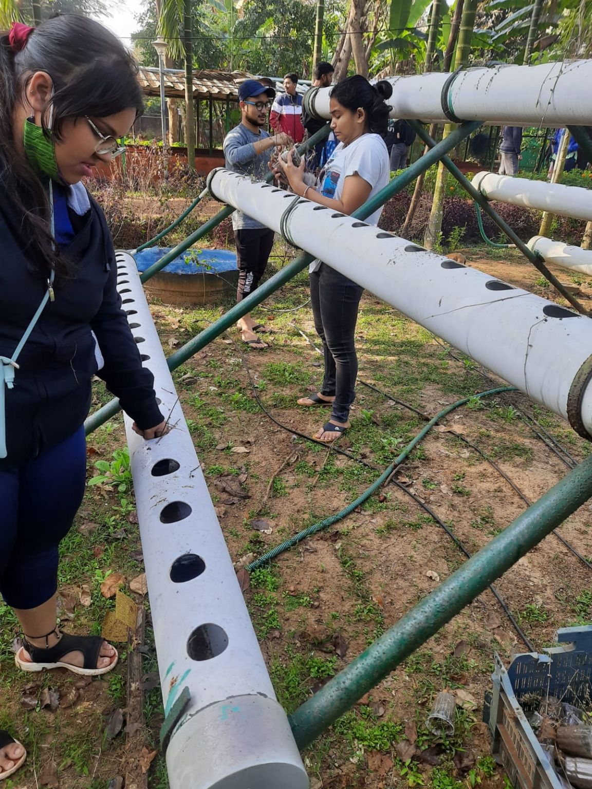 hydroponics project at utkal university, BBSR. | Subham Kumar Pradhan hydroponics project at utkal university, BBSR. | Subham Kumar Pradhan
