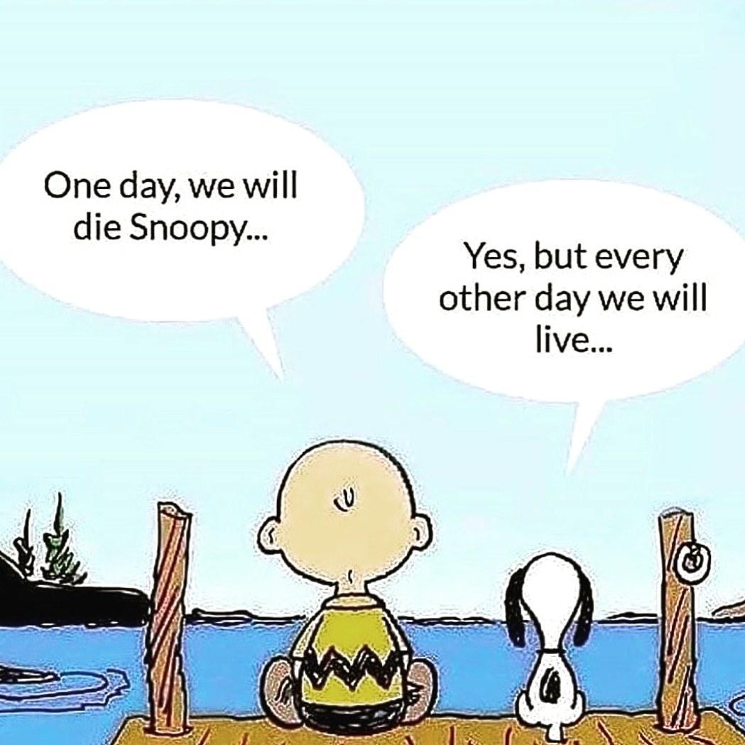 Robert Costa Jr on LinkedIn: #sundaythoughts #carpediem #life # ... Robert Costa Jr on LinkedIn: #sundaythoughts #carpediem #life # ...