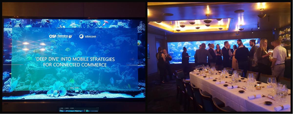 Sitecore on LinkedIn: Great deep dive into the role of mobile in omni ... Sitecore on LinkedIn: Great deep dive into the role of mobile in omni ...