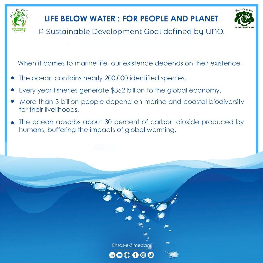 R FAISAL REHMAN posted on LinkedIn R FAISAL REHMAN posted on LinkedIn