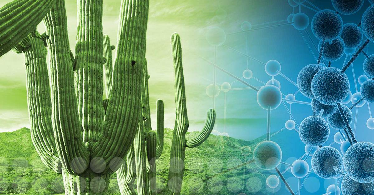 Bruker Daltonics on LinkedIn: SLAS2019 – Label-Free High Throughput ... Bruker Daltonics on LinkedIn: SLAS2019 – Label-Free High Throughput ...