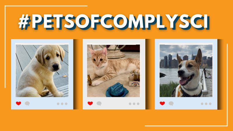 ComplySci is now COMPLY on LinkedIn: #petsofcomplysci #petspotlight ComplySci is now COMPLY on LinkedIn: #petsofcomplysci #petspotlight