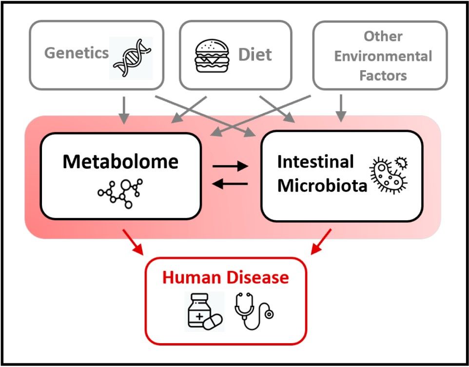 Metabolites MDPI on LinkedIn: #mdpimetabolites #metabolome #microbiome Metabolites MDPI on LinkedIn: #mdpimetabolites #metabolome #microbiome