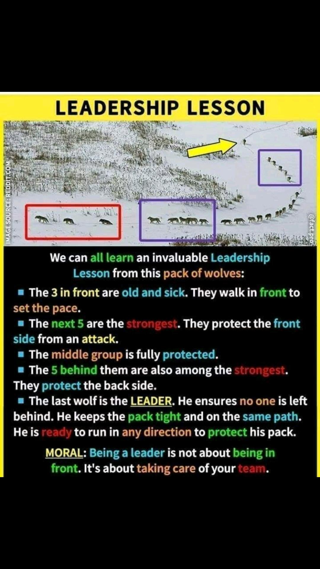 Sarthak Mangal on LinkedIn: #teamwork #leadership #wolfpack Sarthak Mangal on LinkedIn: #teamwork #leadership #wolfpack