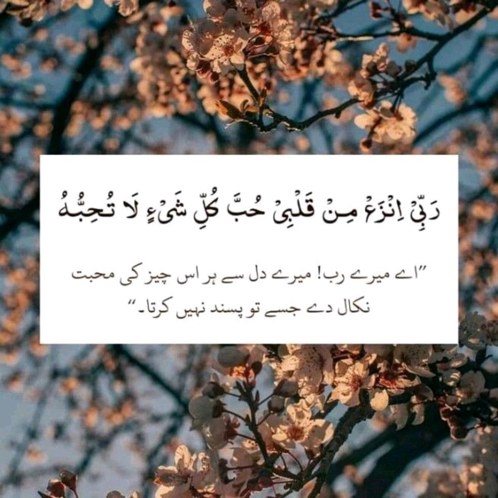 Muhammad Danish Afzal posted on LinkedIn Muhammad Danish Afzal posted on LinkedIn