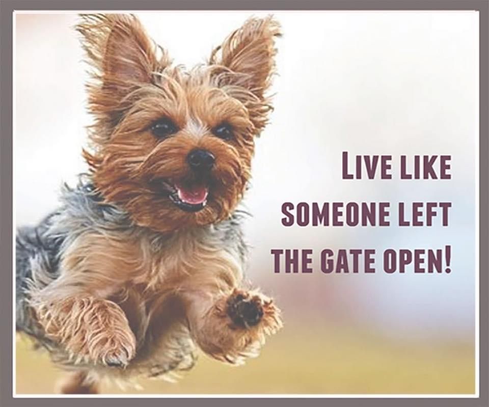 Alexander Jackson, LCSW on LinkedIn: Nobody gets to live life backward ... Alexander Jackson, LCSW on LinkedIn: Nobody gets to live life backward ...