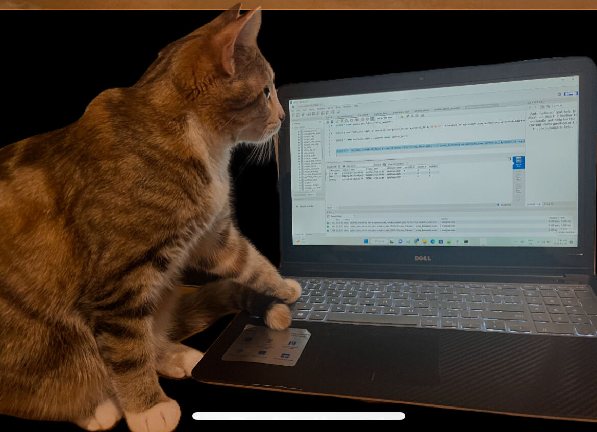 Sarin Naduvilothi PMP® CSM SAFe RPA on LinkedIn: Cat GPT at work :) Sarin Naduvilothi PMP® CSM SAFe RPA on LinkedIn: Cat GPT at work :)