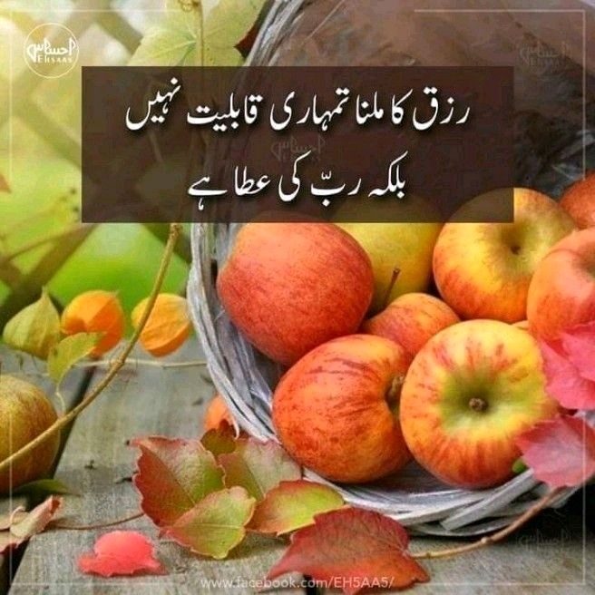 Muhammad Irfan posted on LinkedIn Muhammad Irfan posted on LinkedIn