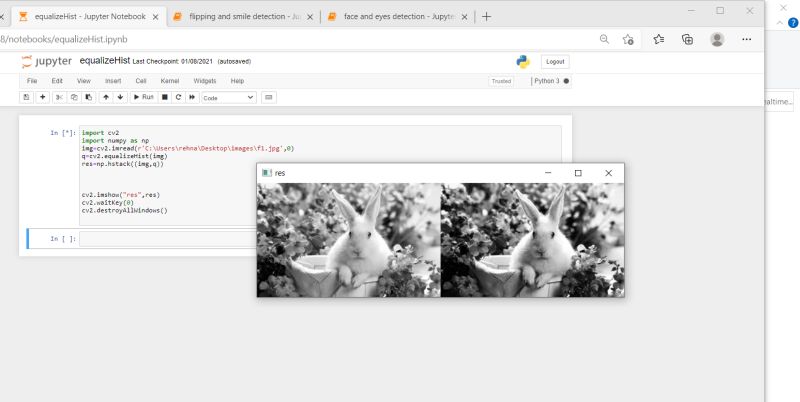 Rehna Mol on LinkedIn: Histograms Equalization in OpenCV Rehna Mol on LinkedIn: Histograms Equalization in OpenCV