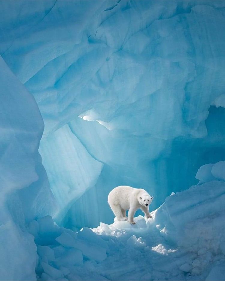 #alternativeproteins #biodiversity #naturepositive # ... #alternativeproteins #biodiversity #naturepositive # ...
