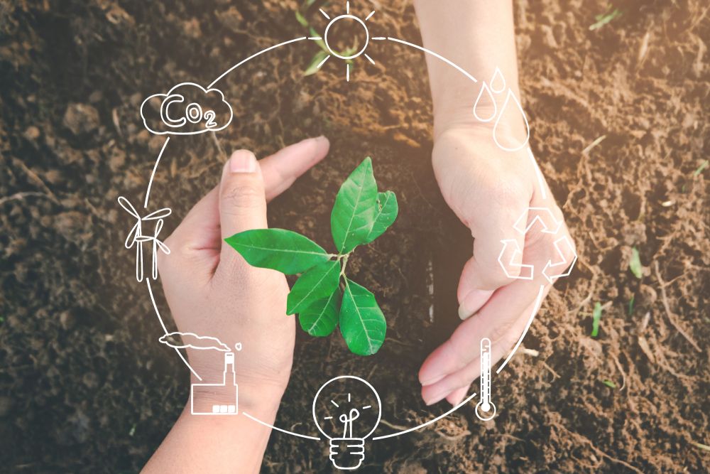 Congrats to Sustainable Investments director Kirsty Jenkinson and ... Congrats to Sustainable Investments director Kirsty Jenkinson and ...