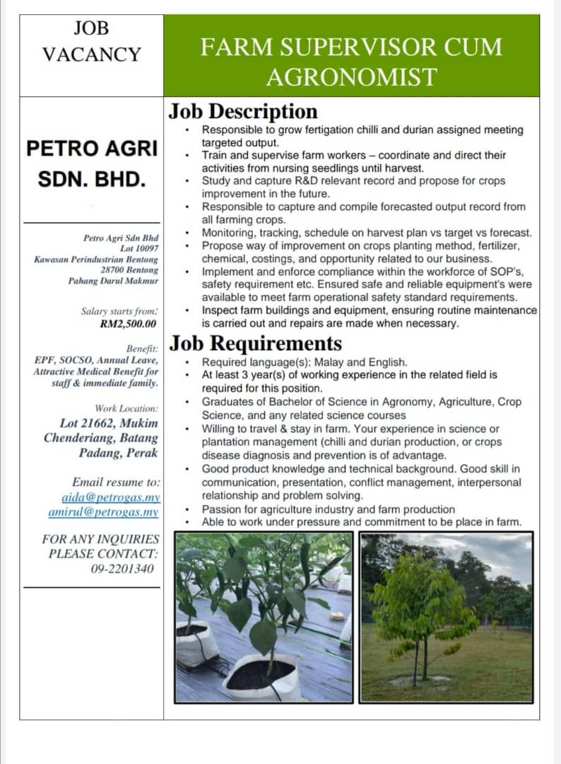 Ts. Muhammad Amirul Nordin on LinkedIn: #resume #kerjakosong #share # ... Ts. Muhammad Amirul Nordin on LinkedIn: #resume #kerjakosong #share # ...