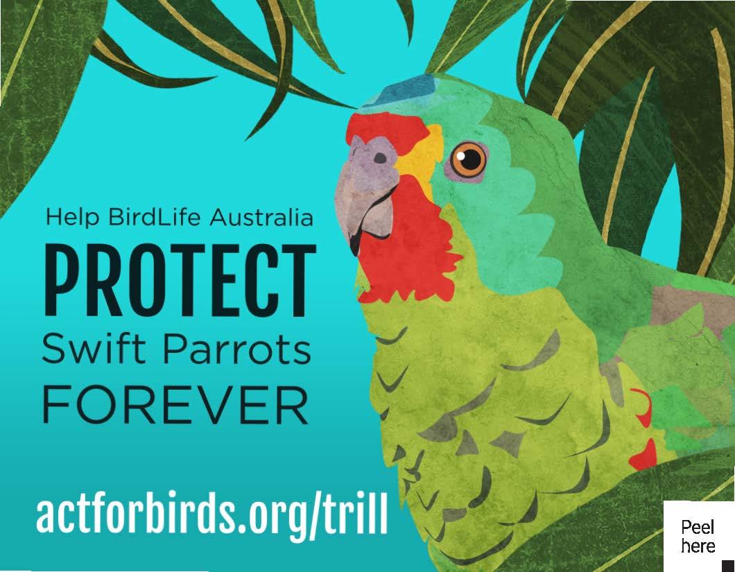 BirdLife Australia on LinkedIn: Trill is working with BirdLife ... BirdLife Australia on LinkedIn: Trill is working with BirdLife ...
