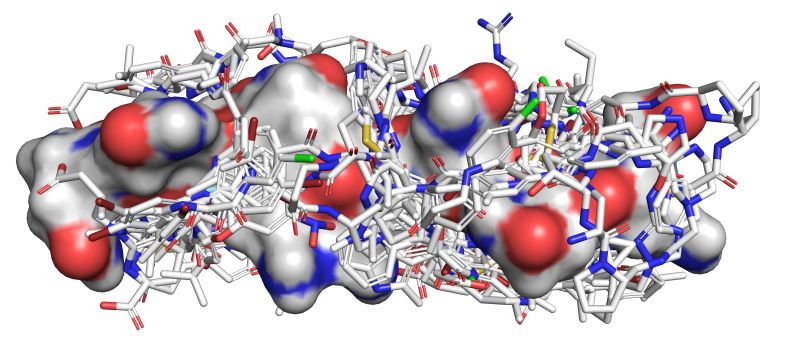 Dr. Anamika Singh Gaur on LinkedIn: #computational #drugdiscovery Dr. Anamika Singh Gaur on LinkedIn: #computational #drugdiscovery