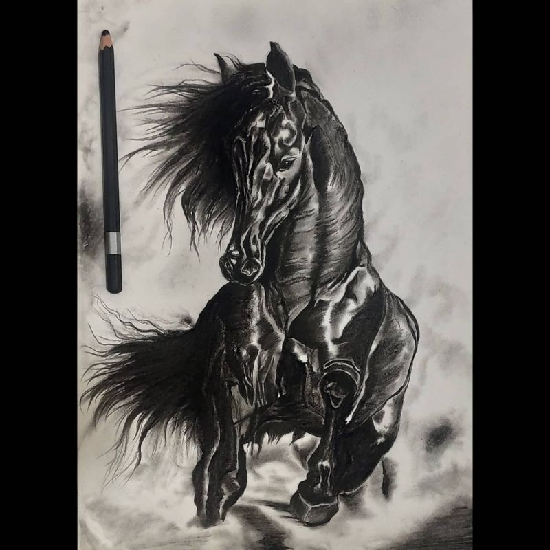 Sunidhi chaplot on LinkedIn: hey! sharing one of my best charcoal ... Sunidhi chaplot on LinkedIn: hey! sharing one of my best charcoal ...