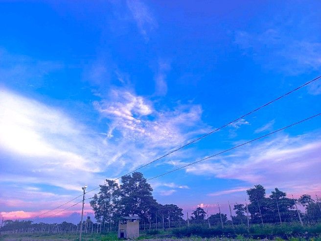 Sangay Wangchen on LinkedIn: Good things Sangay Wangchen on LinkedIn: Good things