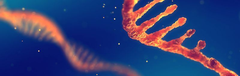 AAT Bioquest on LinkedIn: Sanger Sequencing AAT Bioquest on LinkedIn: Sanger Sequencing
