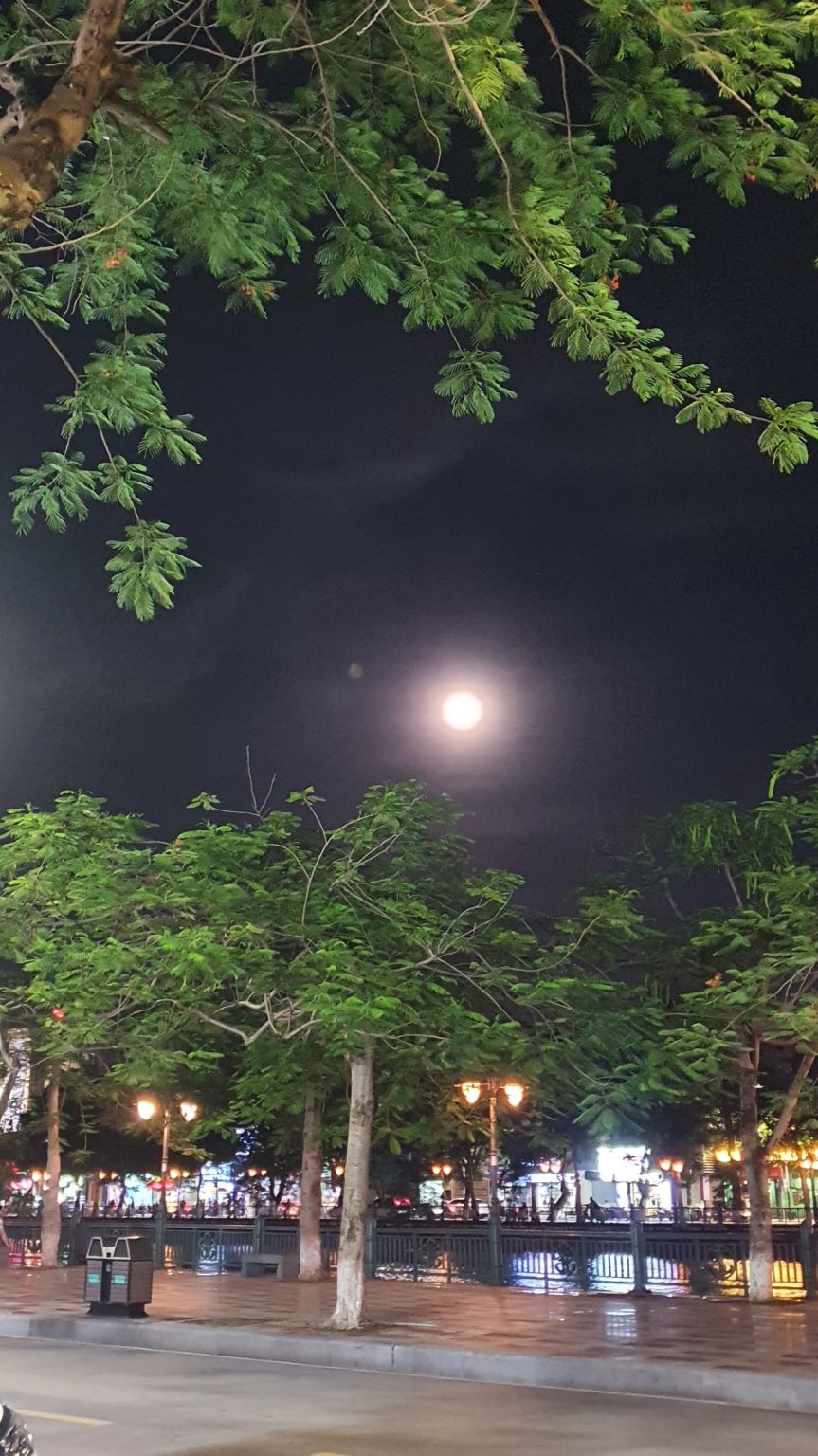 SUNNY CTM- CHAU LOAN DANG on LinkedIn: Full Moon 15th in my Hai Phong- City SUNNY CTM- CHAU LOAN DANG on LinkedIn: Full Moon 15th in my Hai Phong- City