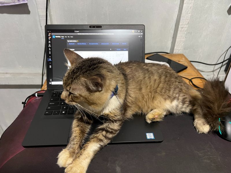 Mark Anthony Pajunar on LinkedIn: 😅 Mark Anthony Pajunar on LinkedIn: 😅