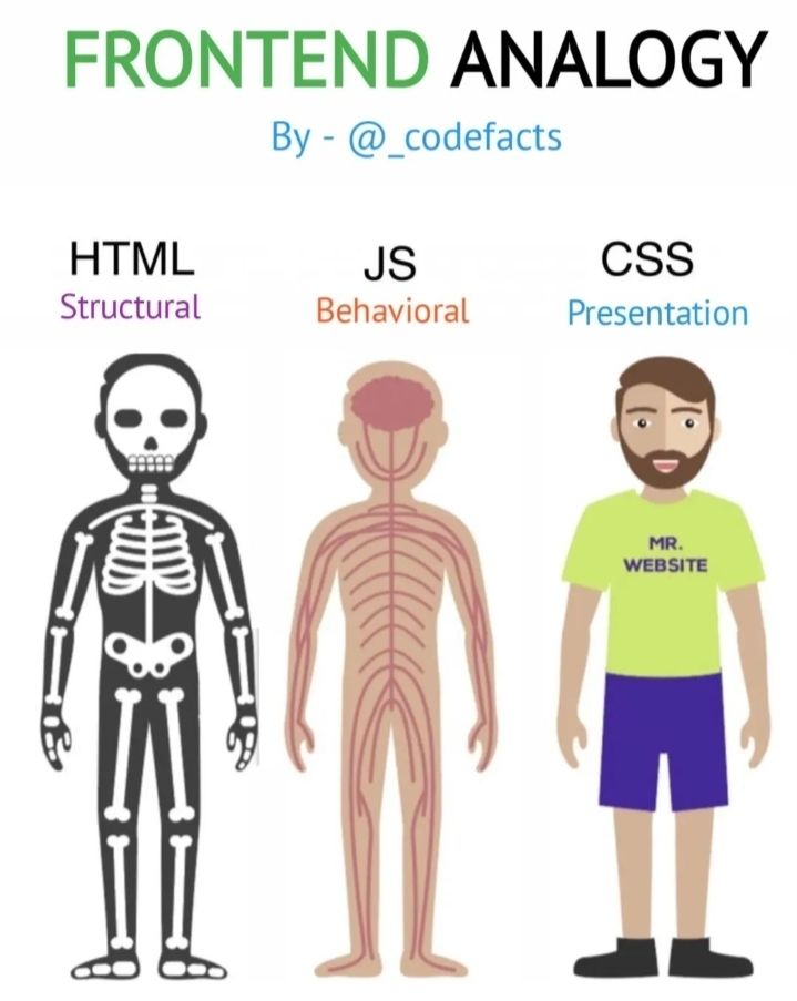 Satish Medapalli on LinkedIn: #frontend #html #javascript #css #development Satish Medapalli on LinkedIn: #frontend #html #javascript #css #development