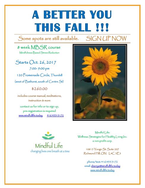 Mindful Life... Sherrye (Blitzer) Mosoff, LL.B on LinkedIn: 8 week ... Mindful Life... Sherrye (Blitzer) Mosoff, LL.B on LinkedIn: 8 week ...