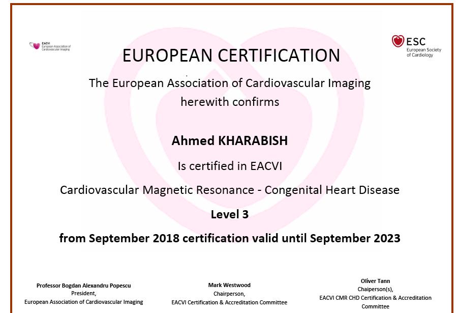 Ahmed Kharabish on LinkedIn: #eacvi | 49 comments Ahmed Kharabish on LinkedIn: #eacvi | 49 comments