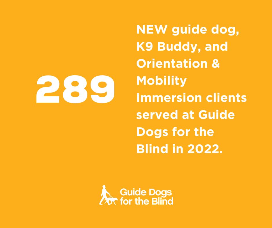 Guide Dogs for the Blind on LinkedIn: The difference you make by ... Guide Dogs for the Blind on LinkedIn: The difference you make by ...