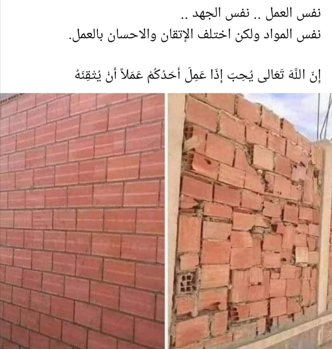 Sara Ibrahim posted on LinkedIn Sara Ibrahim posted on LinkedIn