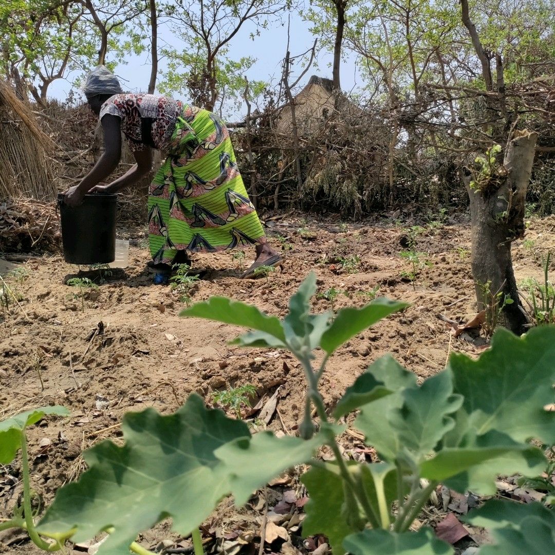 Nina Rosengård Bengtsson on LinkedIn: #sustainability #projects # ... Nina Rosengård Bengtsson on LinkedIn: #sustainability #projects # ...