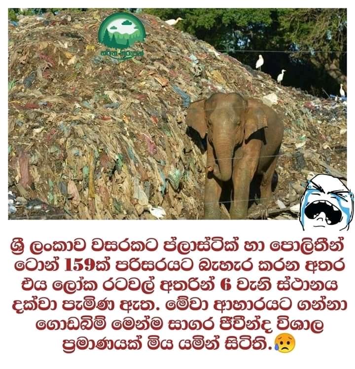 Chamath Molagoda posted on LinkedIn Chamath Molagoda posted on LinkedIn