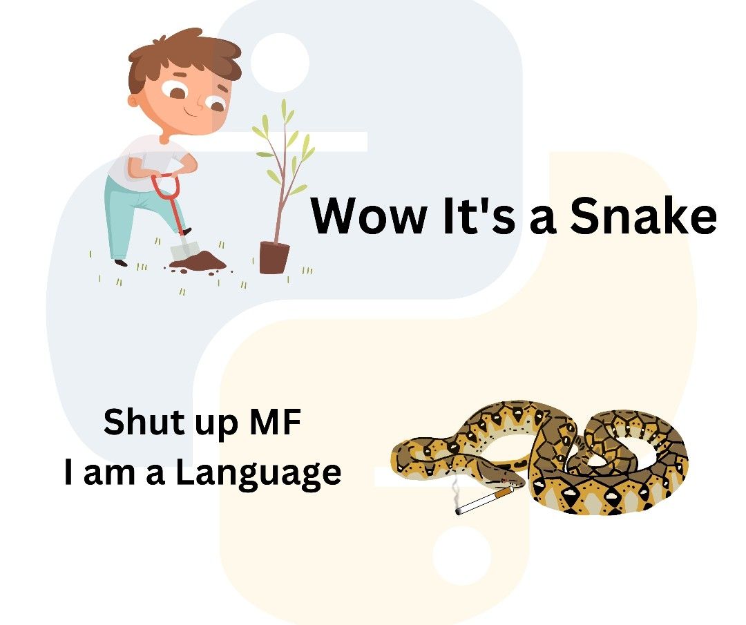 Kushal Dotel on LinkedIn: #python #pythondeveloper #programmingmemes #memes Kushal Dotel on LinkedIn: #python #pythondeveloper #programmingmemes #memes