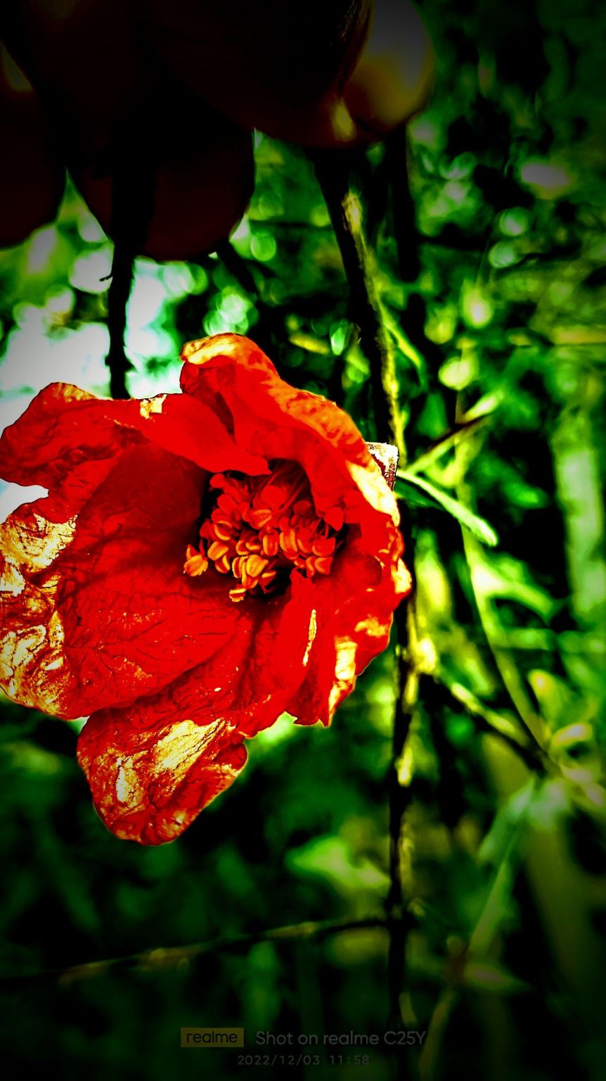 Ashutosh Kumar posted on LinkedIn Ashutosh Kumar posted on LinkedIn