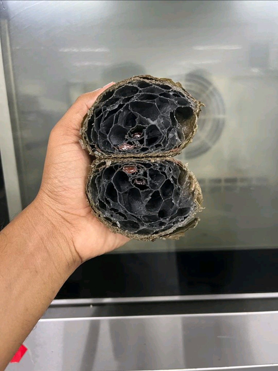 #charcoalpanuchoclate | shrey agrawal #charcoalpanuchoclate | shrey agrawal