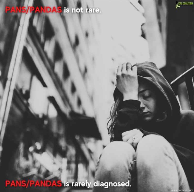 California for PANS/PANDAS on LinkedIn: #pans #pandas #not #rare # ... California for PANS/PANDAS on LinkedIn: #pans #pandas #not #rare # ...