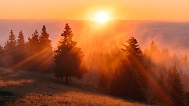 #existential #humanistic #presence #contemplation #psychology… | Chris ... #existential #humanistic #presence #contemplation #psychology… | Chris ...