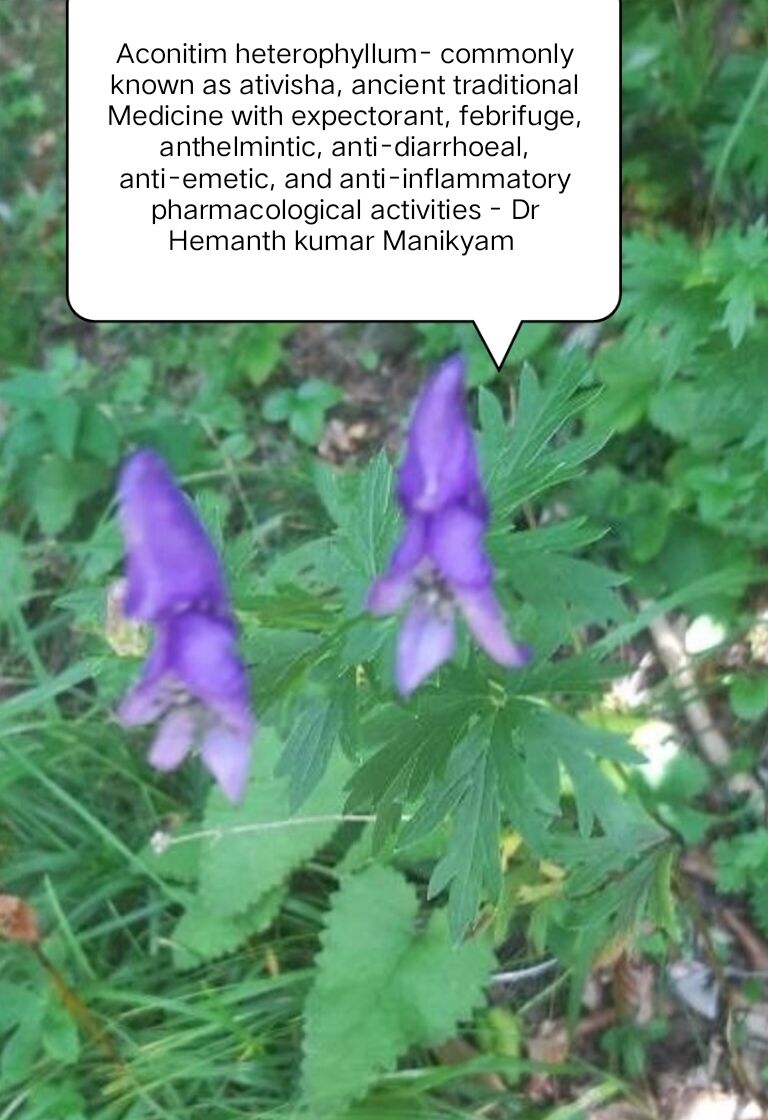 Prof.Dr.Hemanthkumar Manikyam on LinkedIn: #medicine #phytochemicals # ... Prof.Dr.Hemanthkumar Manikyam on LinkedIn: #medicine #phytochemicals # ...