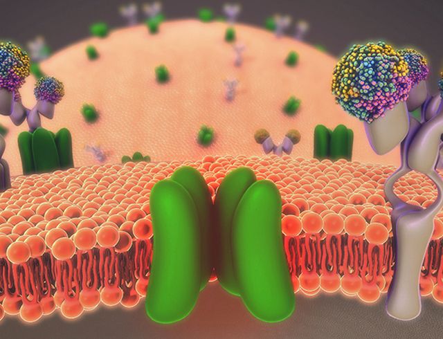 Creative BioMart on LinkedIn: Transporter Screening Assays Creative BioMart on LinkedIn: Transporter Screening Assays