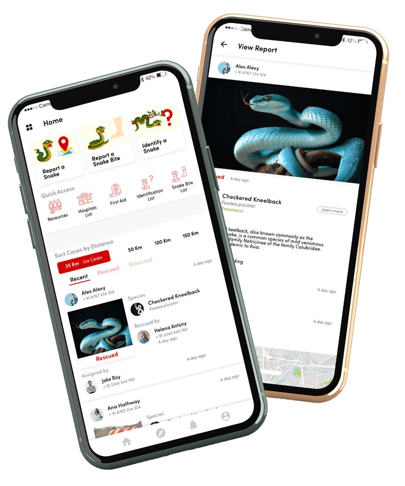 Allen Shaji on LinkedIn: #app #rescue #snakes Allen Shaji on LinkedIn: #app #rescue #snakes